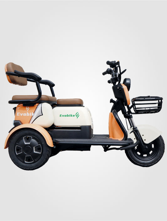 Triciclo Eléctrico Bicicleta Family | Comodidad y Espacio Familiar