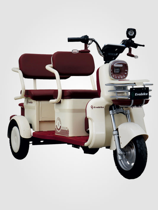 Triciclo Eléctrico Family Q Plus | Rendimiento y Estabilidad