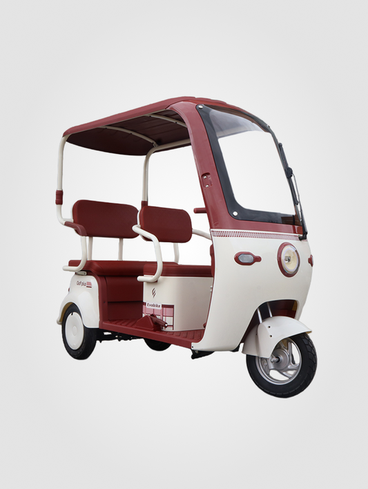 Triciclo Eléctrico Golf Plus | Versatilidad y Mayor Capacidad