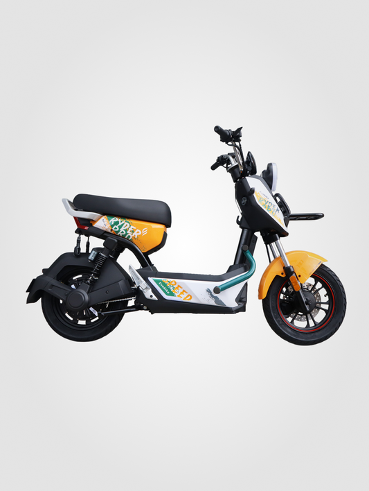 Bicicleta Eléctrica Ryder Pro | Versatilidad y Potencia Avanzada